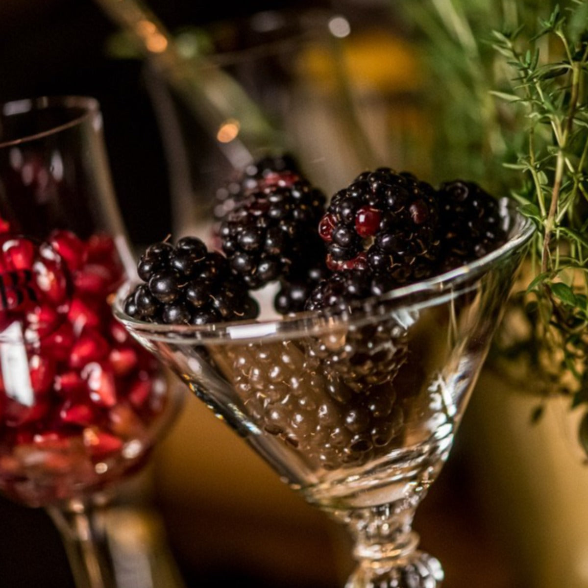 Lazy Red Cheeks – BelRoy's